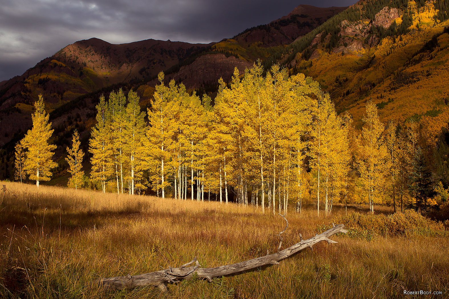 Landscape Photographer - Photography - FM Forums