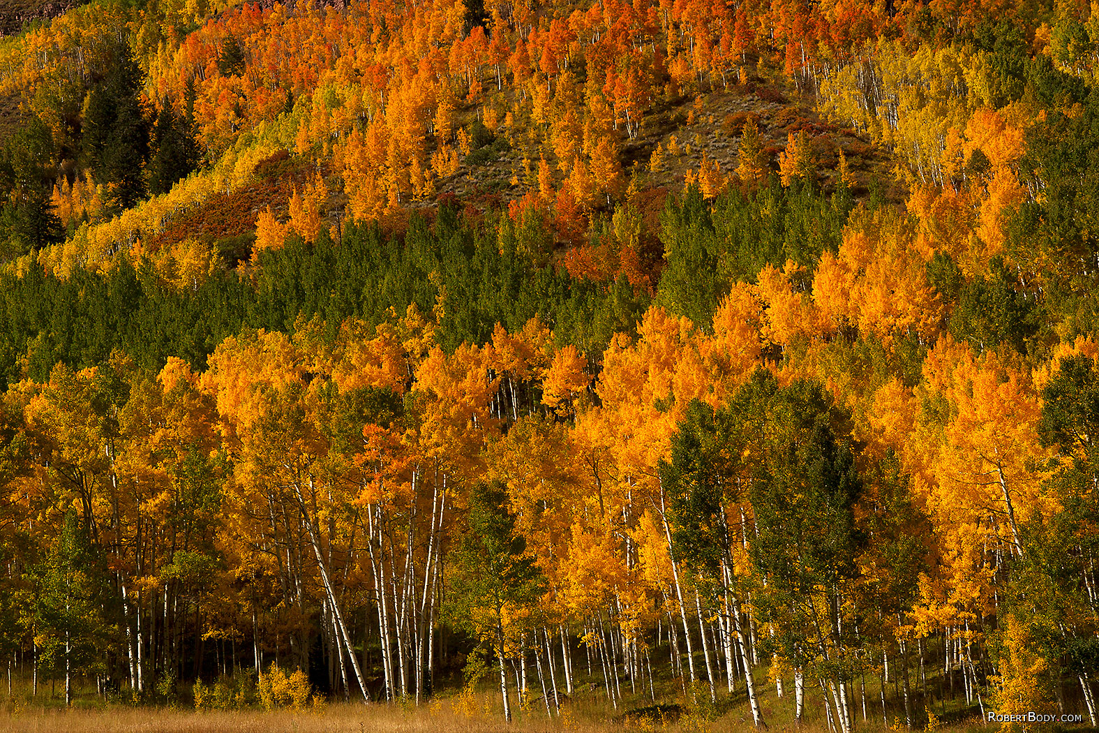 Landscape Photographer - Photography - FM Forums