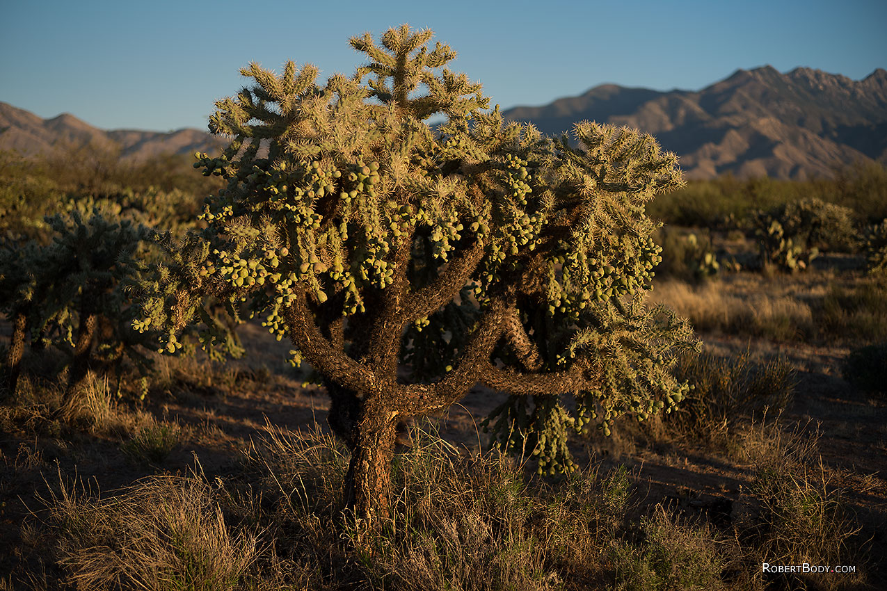 Landscape Photographer - Photography - FM Forums